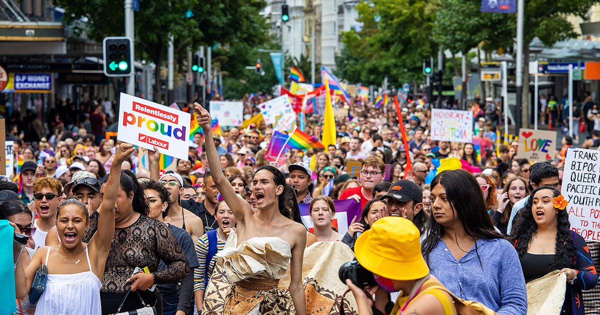 Trans and social influence - Plain Sight - Laura López